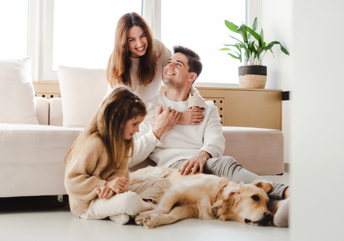 The Joys of Owning a Dog: How They Enrich Your Life and Why They’re Wo ...
